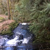 Dickerson Falls, Washington - 2,387 Reviews, Map | AllTrails