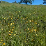 Peoria Flat, California - 385 Reviews, Map | AllTrails