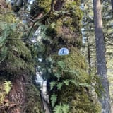 Tamanous Trail to PCT & Gillette Lake, Washington - 254 Reviews, Map ...