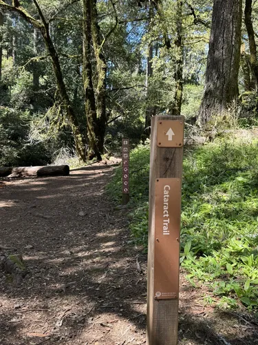 Best Backpacking Trails in Mill Valley | AllTrails