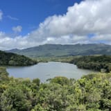 Crystal Cascades to Copperlode Dam, Queensland, Australia - 212 Reviews ...