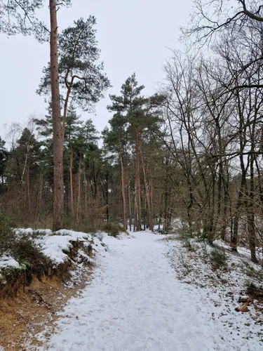 Best Camping Trails in Meijel | AllTrails