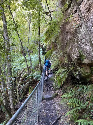 Best River Trails in Fitzroy Falls | AllTrails