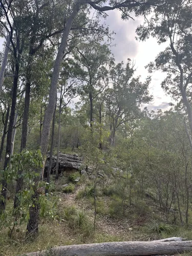 Best Hikes and Trails in Spring Mountain | AllTrails