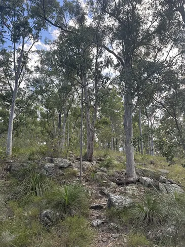 Best Hikes and Trails in Spring Mountain | AllTrails