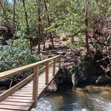 Hemlock Falls Trail, Georgia - 1,240 Reviews, Map | AllTrails