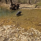 Two Lakes Loop Trail, Indiana - 499 Reviews, Map | AllTrails