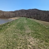 Two Lakes Loop Trail, Indiana - 557 Reviews, Map | AllTrails