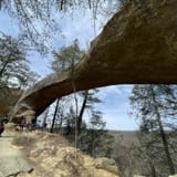 Sky Bridge Trail, Kentucky - 2,427 Reviews, Map | AllTrails