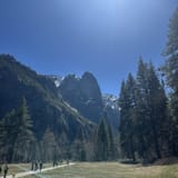 Sentinel Meadow Cook's Meadow Loop Trail, California - 3,024 Reviews ...