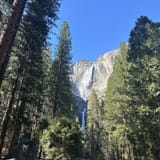 Sentinel Meadow Cook's Meadow Loop Trail, California - 3,024 Reviews ...