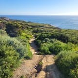 Sunset Cliffs Park Trail, California - 893 Reviews, Map | AllTrails