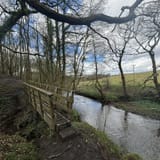 Yarrow Valley Country Park Circular, Lancashire, England - 289 Reviews ...