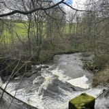 Yarrow Valley Country Park Circular, Lancashire, England - 289 Reviews ...