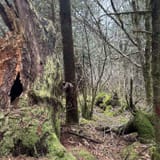 Double Spring Gap Shelter and Kuwohi via Appalachian Trail [CLOSED ...