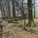 Double Spring Gap Shelter and Clingmans Dome via Appalachian Trail ...