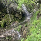 Gorman Falls Trail, Texas - 1,113 Reviews, Map | AllTrails