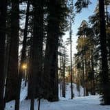 Circle Meadow Loop via Congress and General Sherman Tree Trail ...