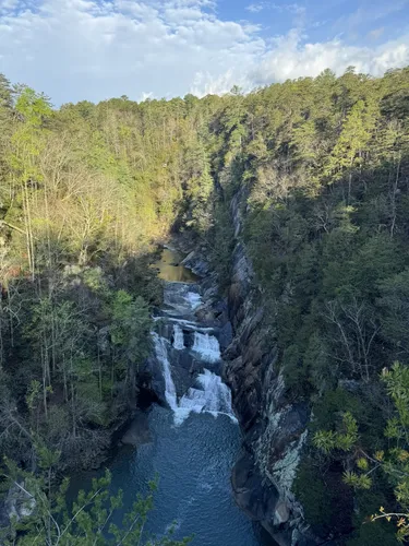 Best Hikes and Trails in Tallulah Gorge State Park | AllTrails
