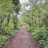 Pre's Trail, Oregon - 868 Reviews, Map | AllTrails