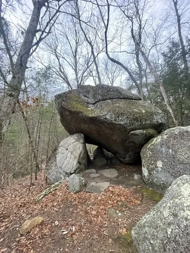 Best Views Trails in Upton State Forest | AllTrails