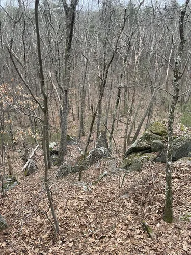 Best Mountain Biking Trails in Upton State Forest | AllTrails