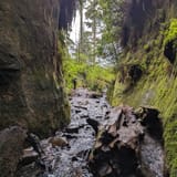 Sombrio Beach, British Columbia, Canada - 642 Reviews, Map | AllTrails