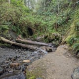 Sombrio Beach, British Columbia, Canada - 474 Reviews, Map | AllTrails