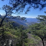 Redman Run Trail, West Virginia - 130 Reviews, Map | AllTrails
