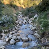 Cold Springs East Fork Trail, California - 344 Reviews, Map | AllTrails