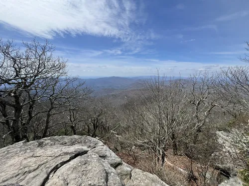 Best Lake Trails in Chestatee Wildlife Management Area | AllTrails