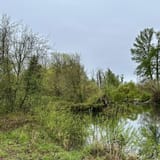 Pre's Trail, Oregon - 763 Reviews, Map | AllTrails