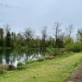 Pre's Trail, Oregon - 868 Reviews, Map | AllTrails