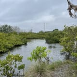 North Anclote River Nature Park Trail, Florida - 191 Reviews, Map ...