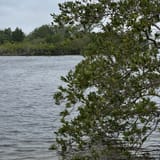 North Anclote River Nature Park Trail, Florida - 191 Reviews, Map ...