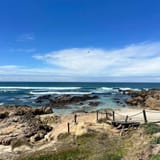 Asilomar State Beach and Coast Trail, California - 913 Reviews, Map ...