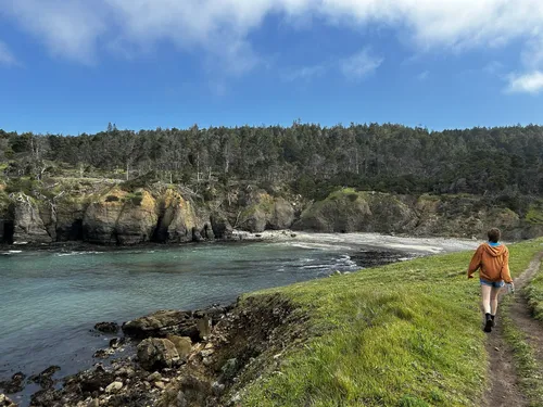 Best Walking Trails in Salt Point State Park | AllTrails