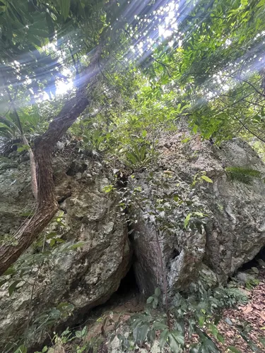 Best Hikes and Trails in Parque Julio E. Monagas | AllTrails