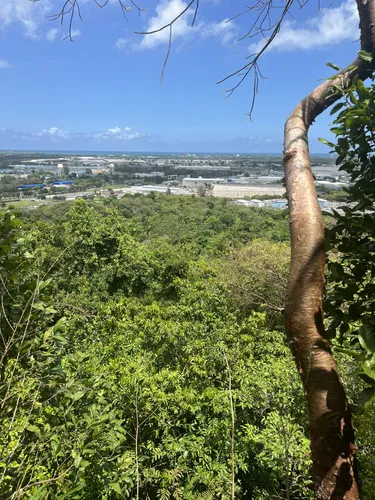 Best Hikes and Trails in Parque Julio E. Monagas | AllTrails