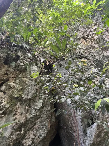 Best Hikes and Trails in Parque Julio E. Monagas | AllTrails