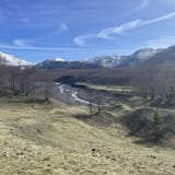 Hummocks Trail, Washington - 991 Reviews, Map | AllTrails