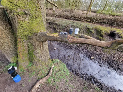 Best Hikes and Trails in Spud Wood | AllTrails