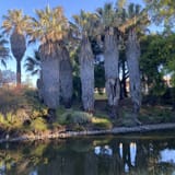 UC Davis Arboretum Trail, California - 1,343 Reviews, Map | AllTrails