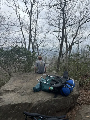 Best Lake Trails in Chestatee Wildlife Management Area | AllTrails