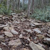 Compression Falls Trail, North Carolina - 384 Reviews, Map | AllTrails