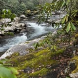 Mouse Creek Falls via Big Creek Trail, Tennessee - 2,673 Reviews, Map ...