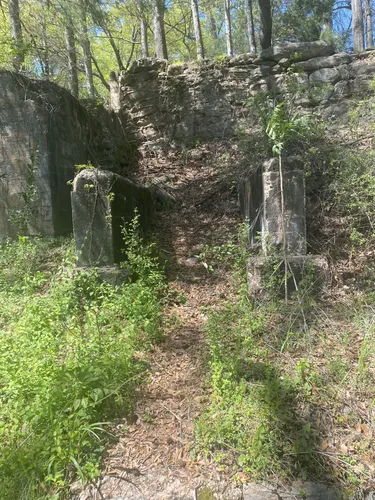 Best Hikes and Trails in Greer | AllTrails