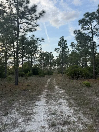 Best Wild Flowers Trails in Split Oak Forest Wildlife And Environmental ...