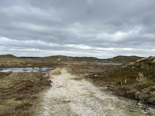 Best Lake Trails in Husby Klitplantage | AllTrails