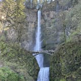 Multnomah Falls Trail, Oregon - 6,863 Reviews, Map | AllTrails